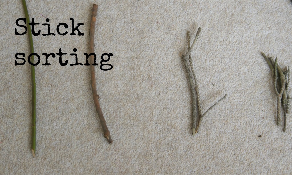 Great Things to do with Sticks and Leaves - Nature Crafts