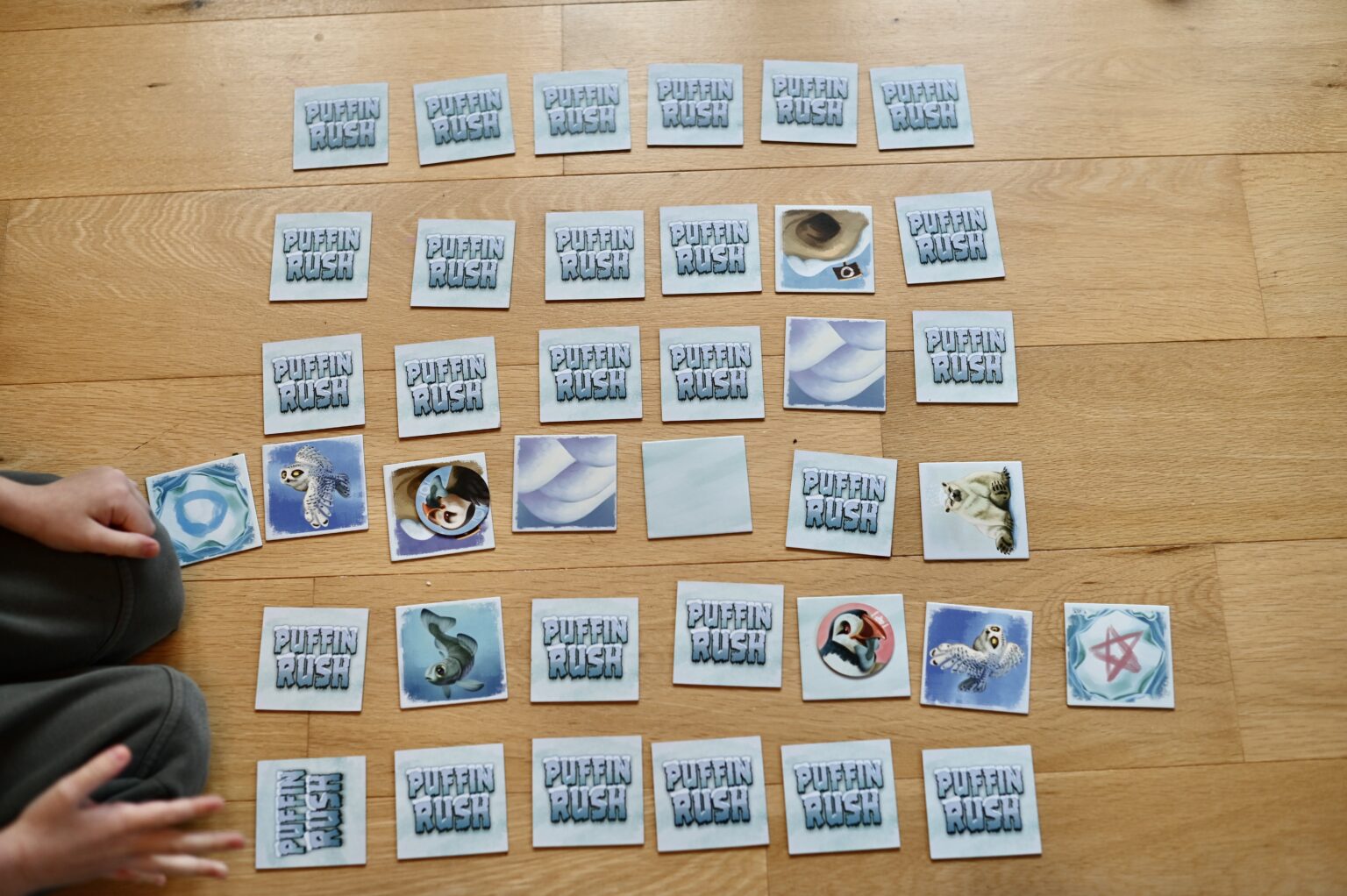 Puffin Rush Card Game